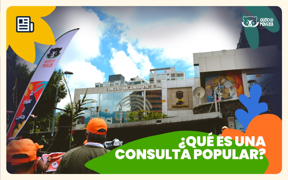 ¿Qué es una consulta popular? - QSM